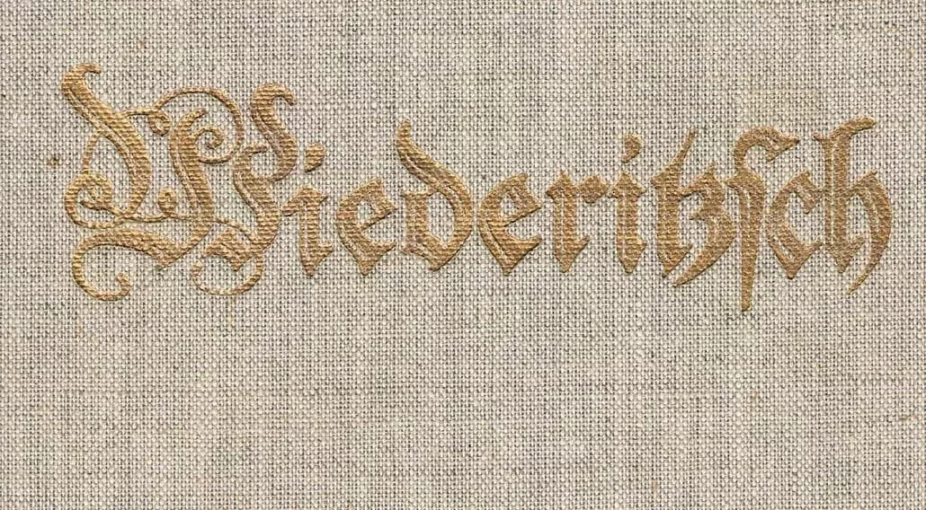 Die Geschichte Wiederitzsch